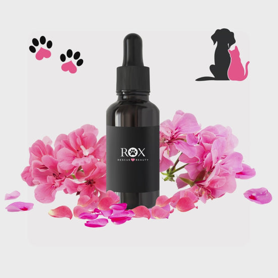 Susan Roxby Skin Care